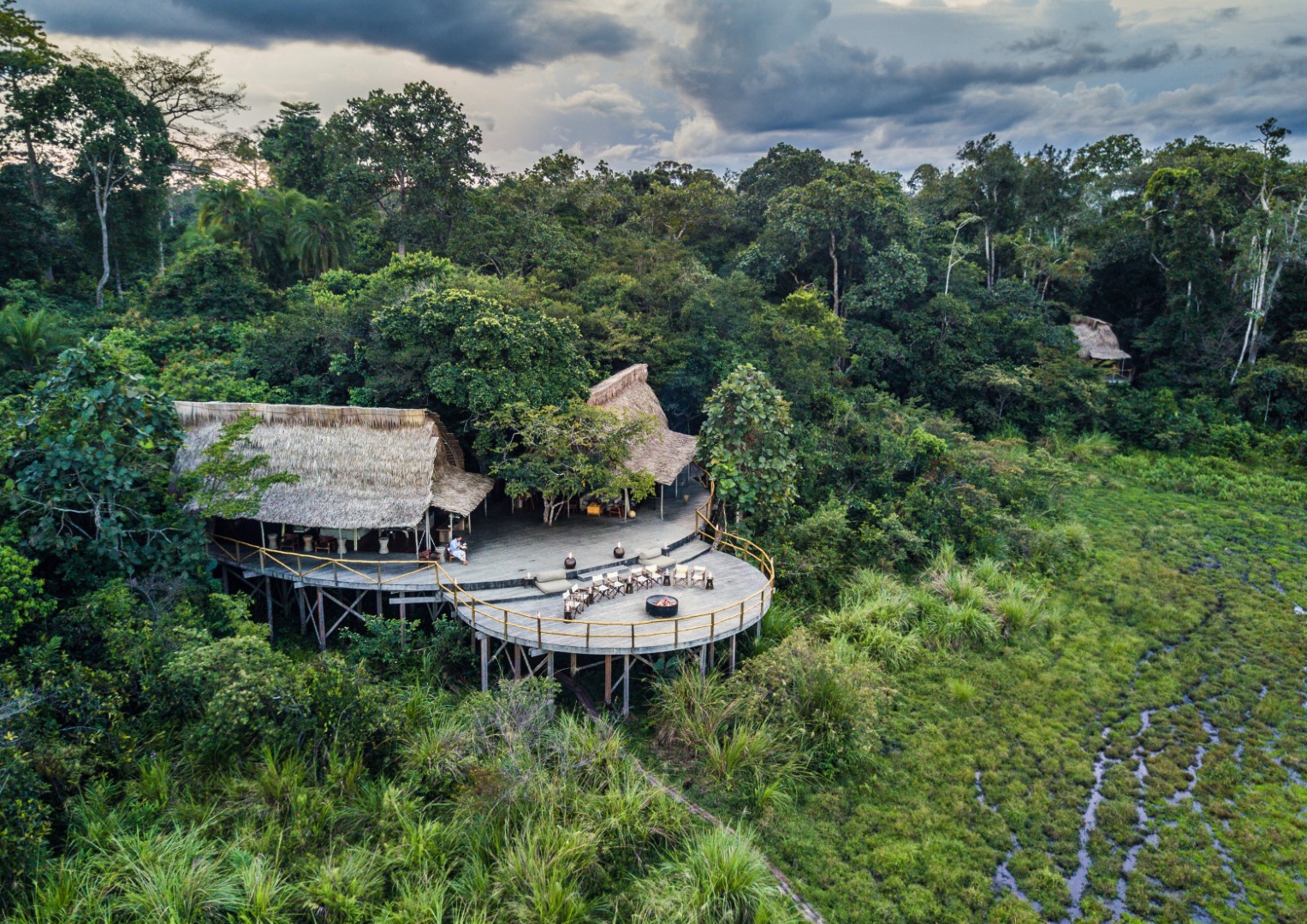 Kamba: Intensive Momente in der Welt der Gorillas » tip-luxury | tip ...