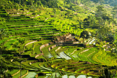 Aman: Eine Zugreise durch Java » news | tip - Travel Industry Professional